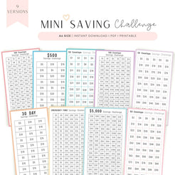 A6 Mini Saving Challenge Bundle – mrsneat
