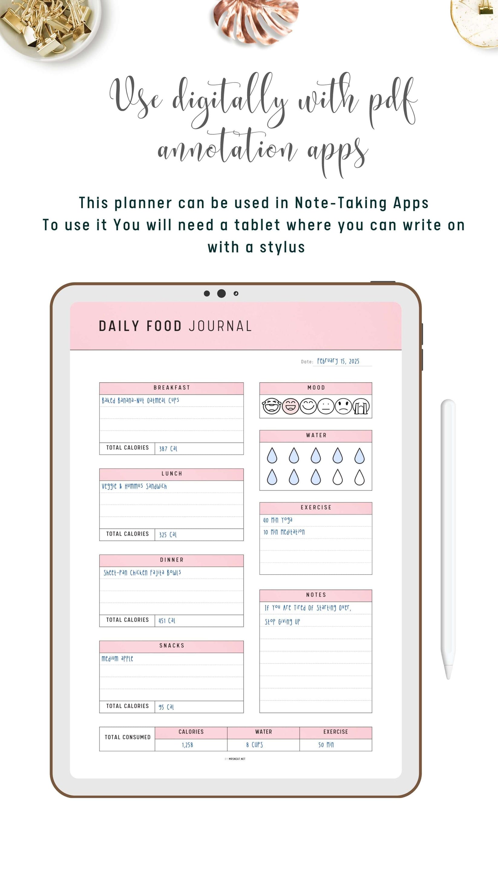 Printable Daily Food Journal Template – mrsneat