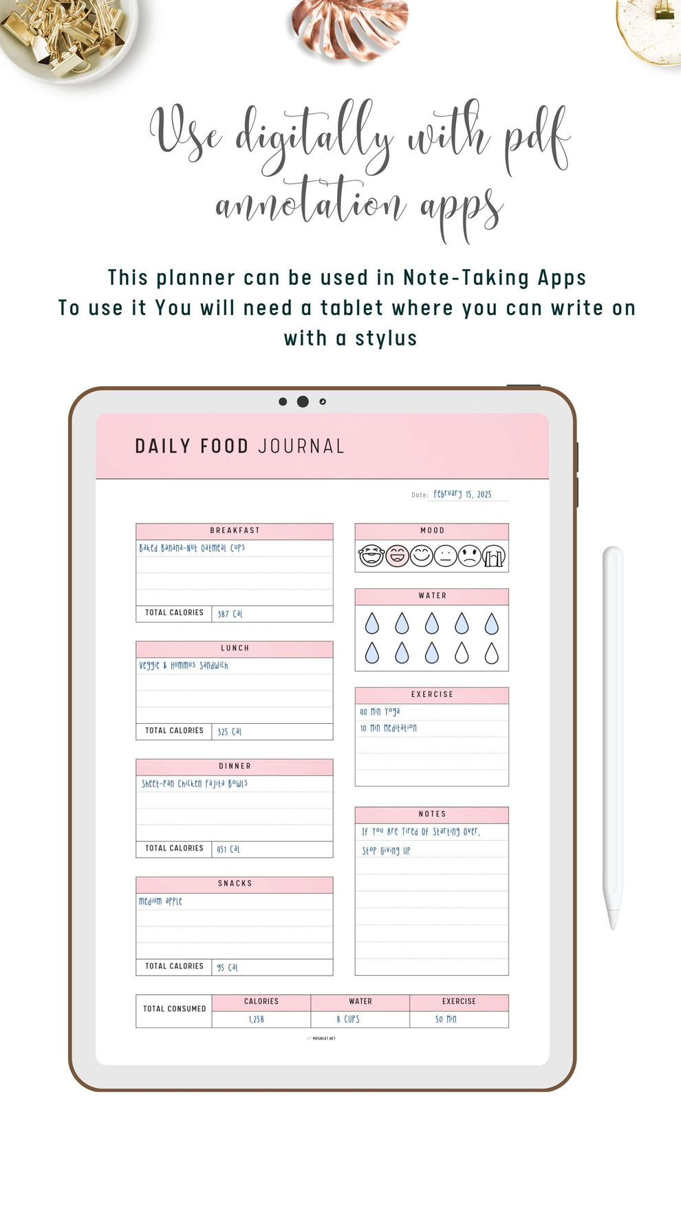 Printable Daily Food Journal Template - M300 – mrsneat