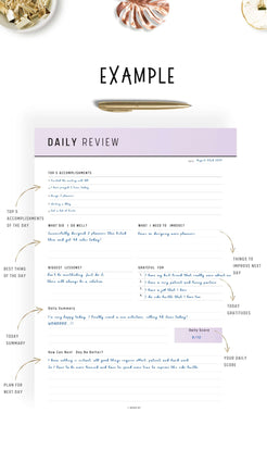 Daily Review Planner Template Printable - M291 – mrsneat