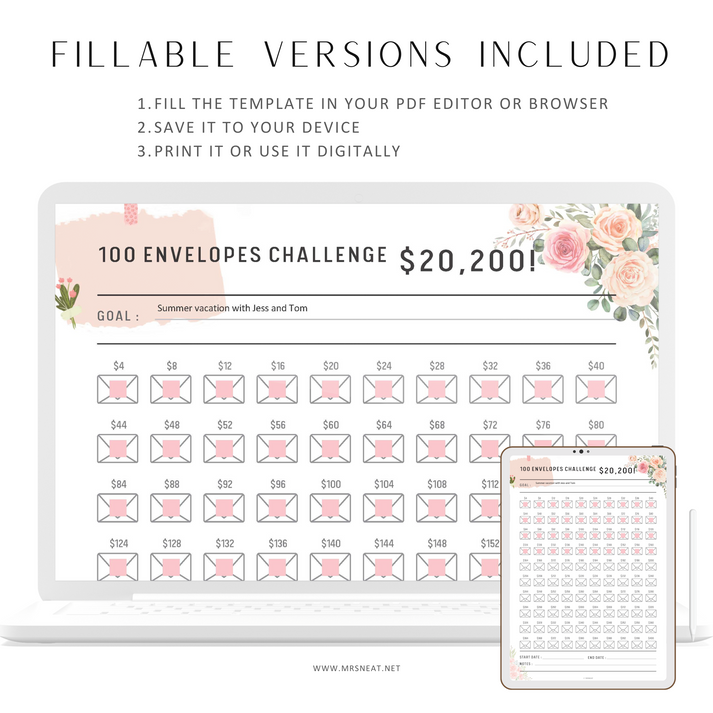 Saved $20,200 in 100 Envelope Saving Challenge - M027/8 – mrsneat
