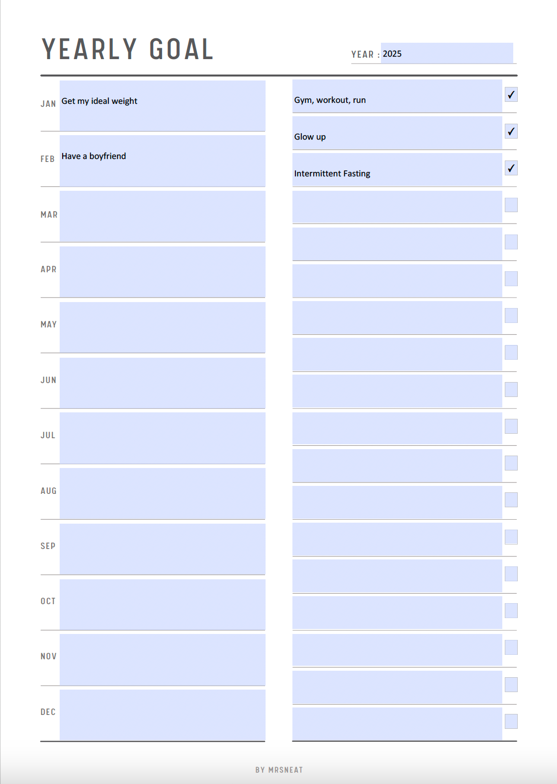 New Year Goal Planner - M166 – mrsneat