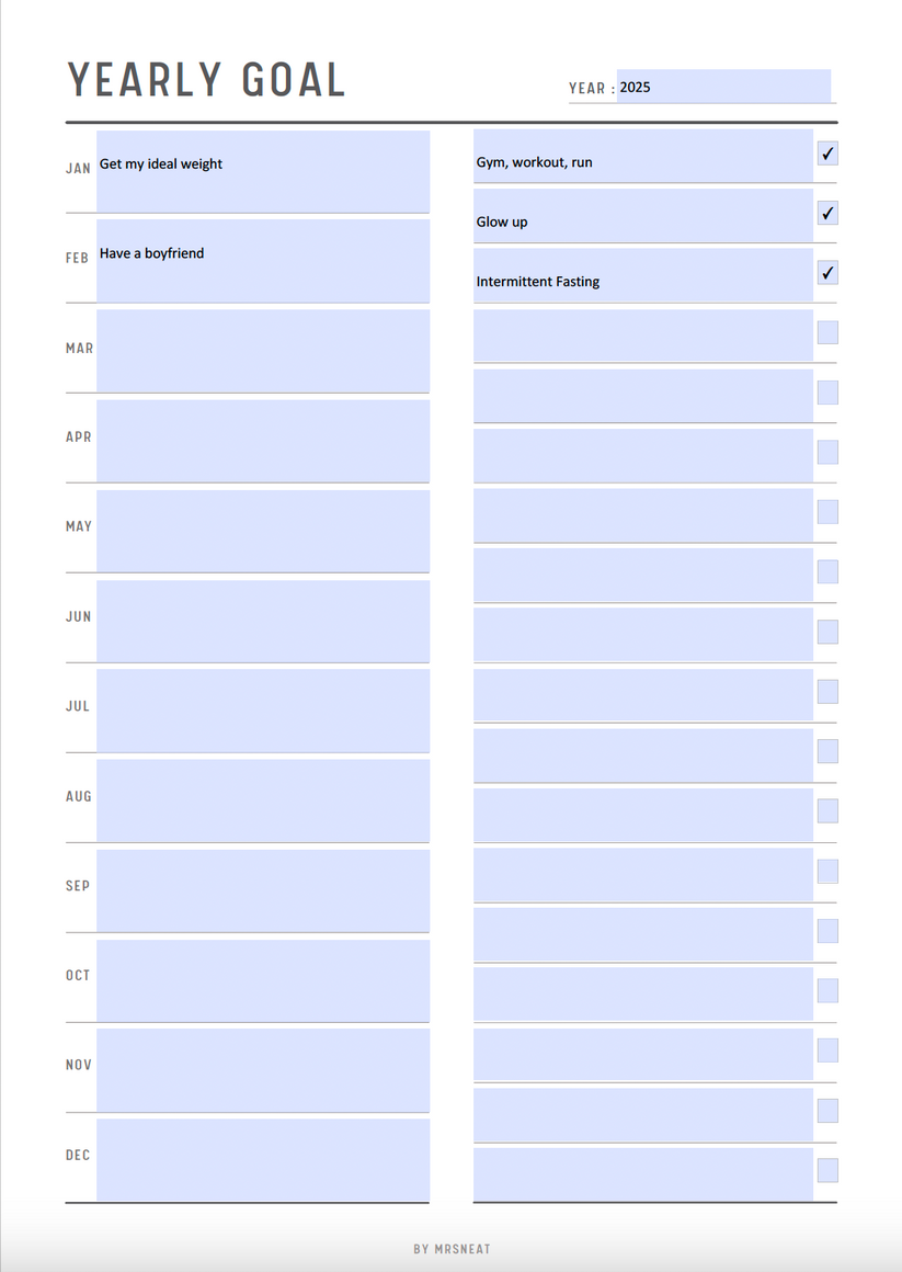 New Year Goal Planner - M166 – mrsneat