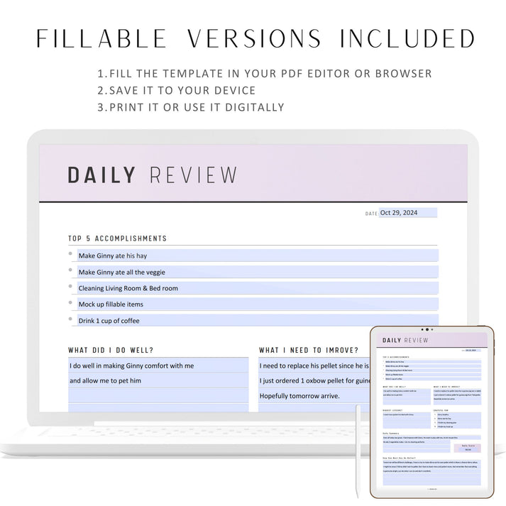 Daily Review Planner Template Printable - M291 – mrsneat
