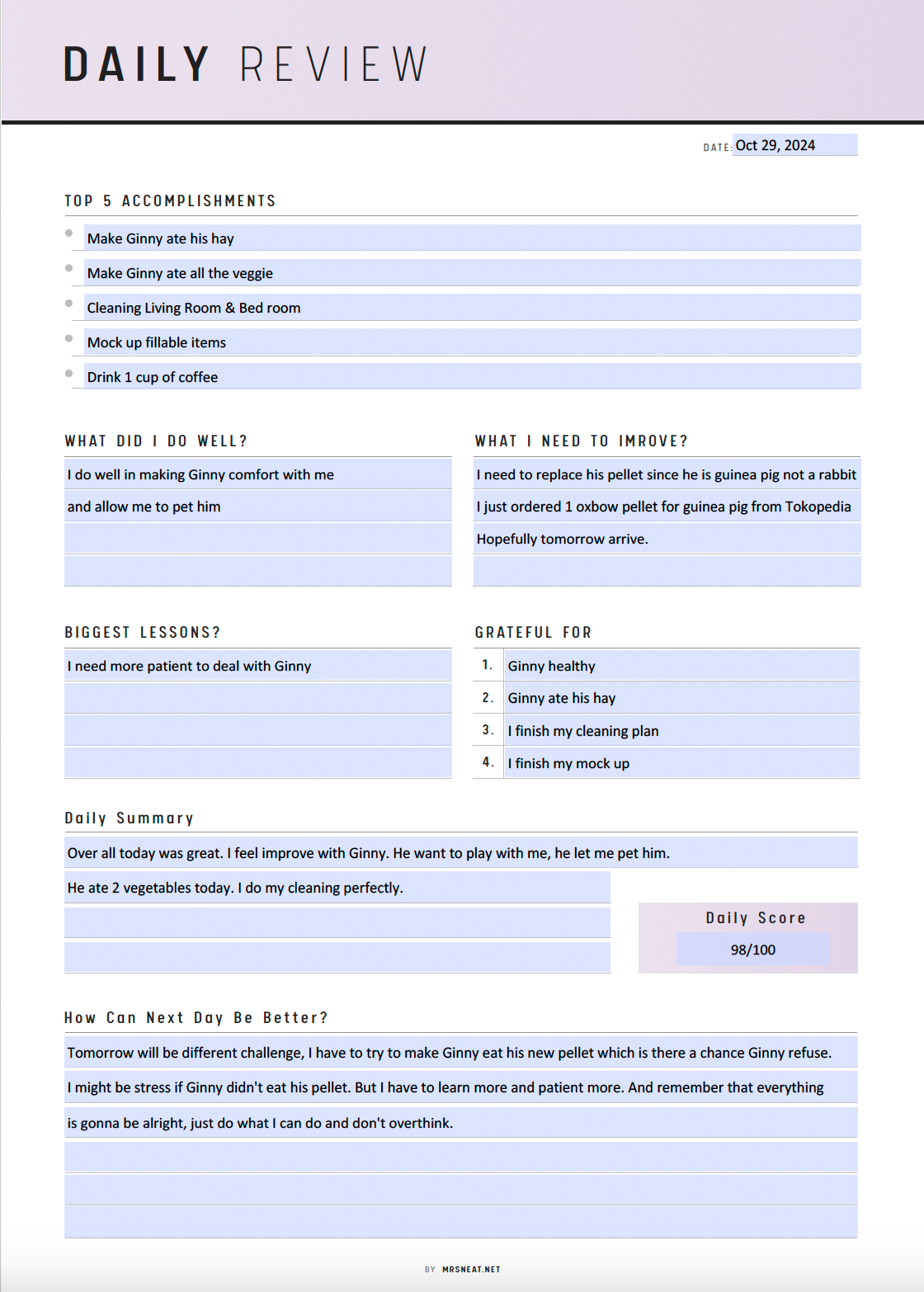 Daily Review Planner Template Printable - M291 – mrsneat