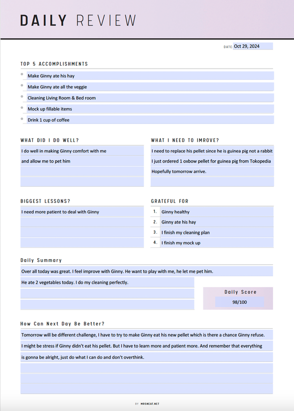 Daily Review Planner Template Printable - M291 – mrsneat