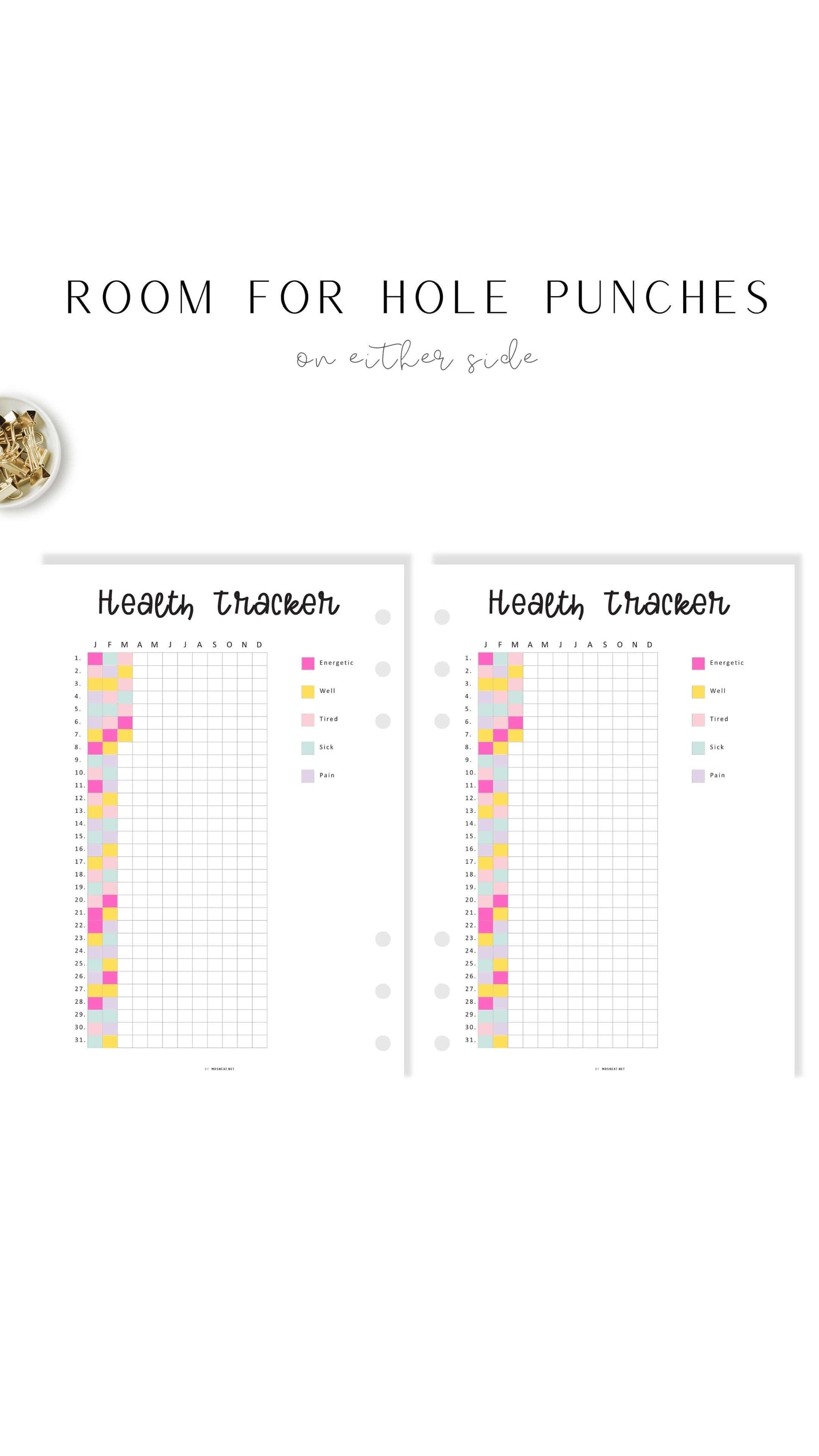 One Year Health Tracker Printable – mrsneat