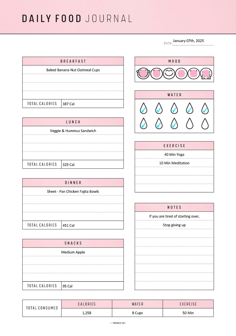 Printable Daily Food Journal Template - M300 – mrsneat