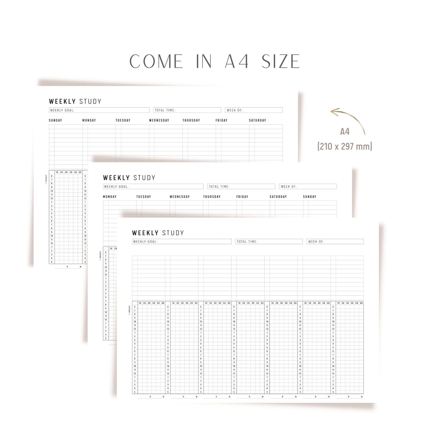 Weekly Study Planner Template – mrsneat