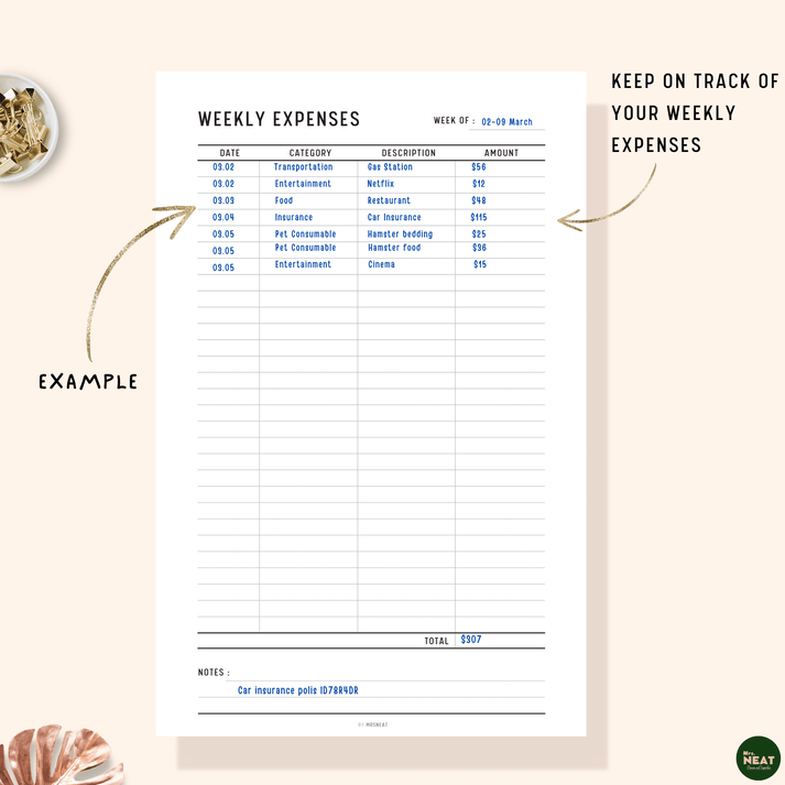 Weekly Spending Tracker Printable - M115/6 – mrsneat