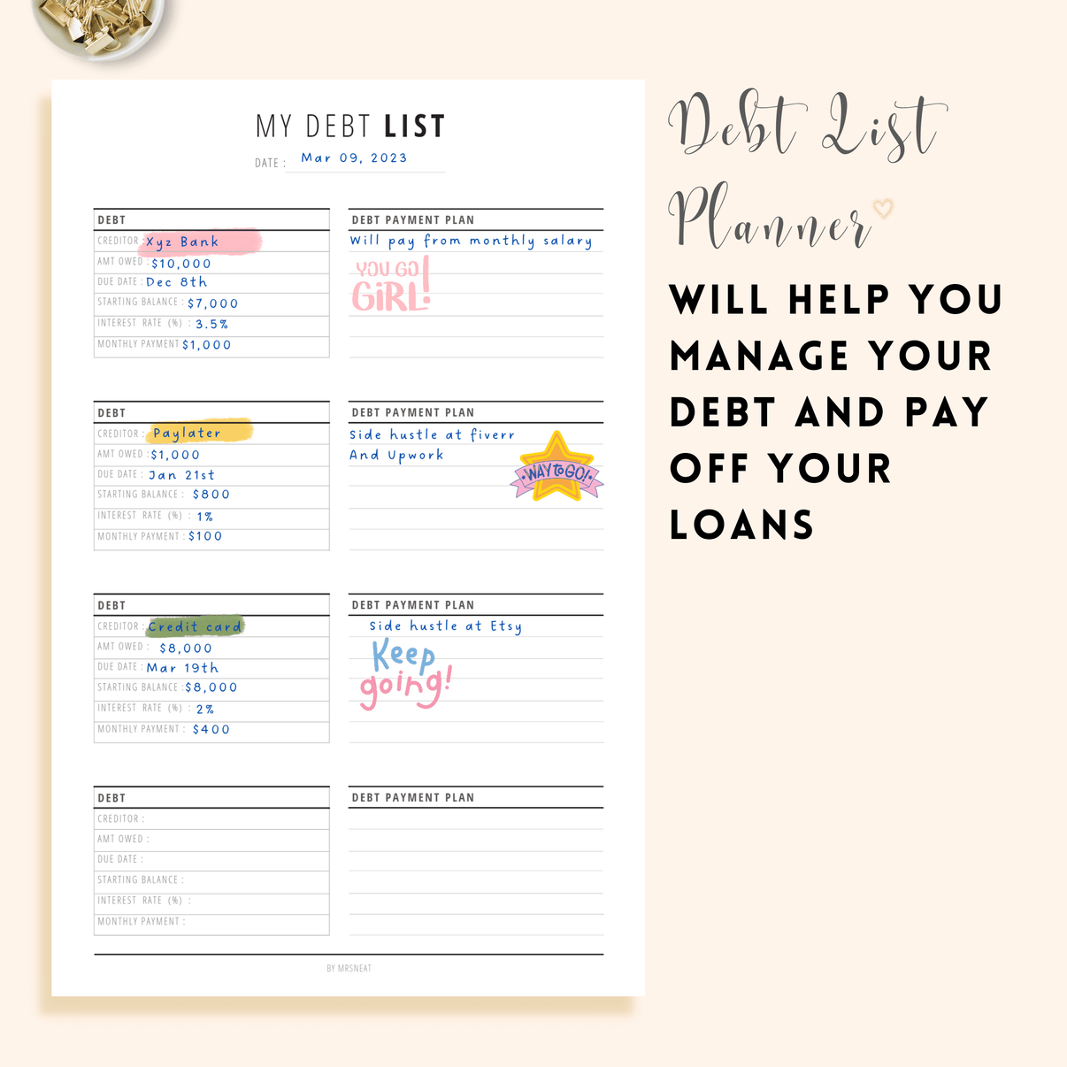 Debt Payoff Planner - M143 – mrsneat
