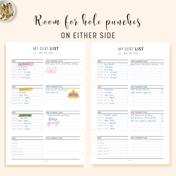 Debt Payoff Planner - M143 – mrsneat