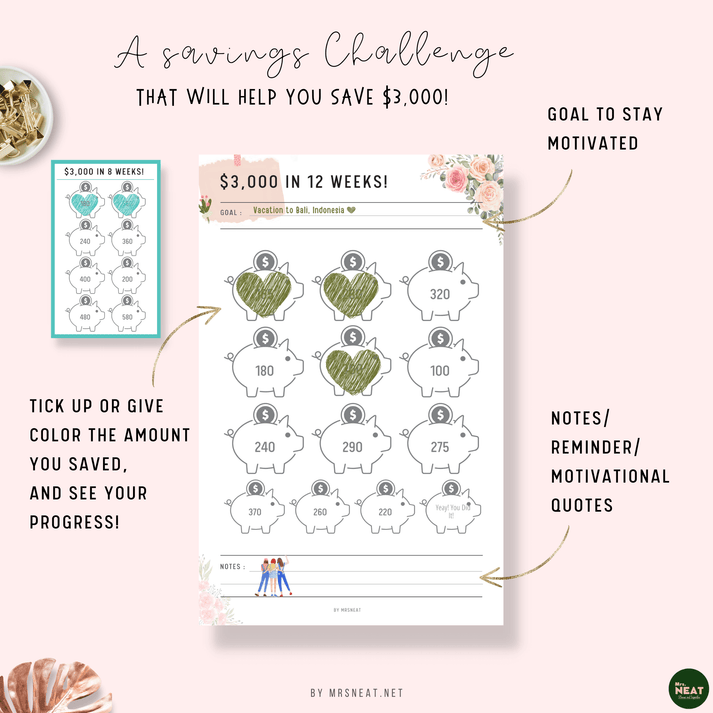Free $3000 Saving Challenge Printable – mrsneat